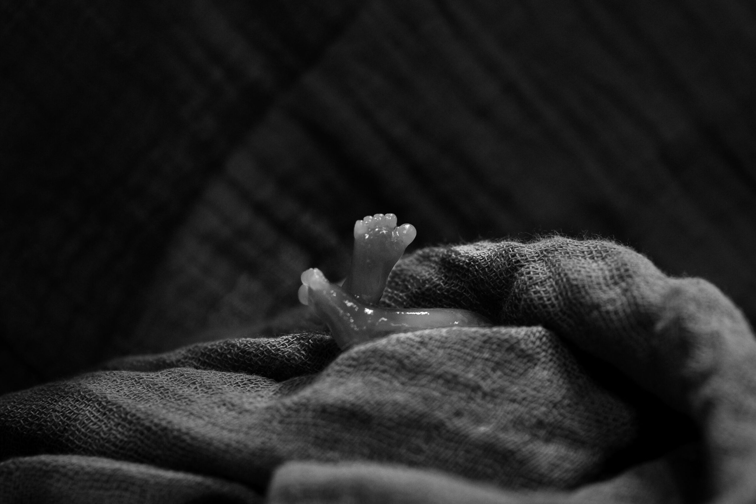 Ons mooiste, kleinste sterretje* | Verhalen van Sterrenouders